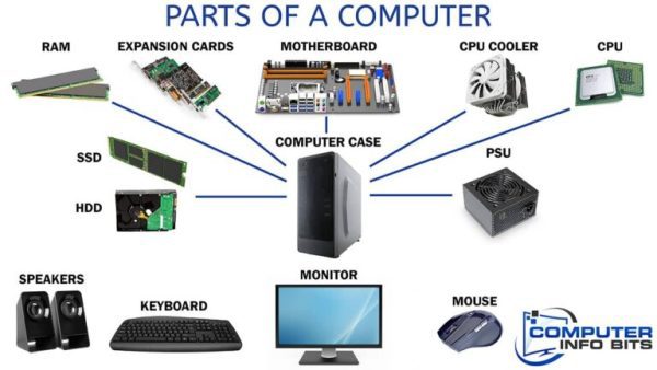 Common Computer Peripherals and Their Functions - SKOC-Global-Store