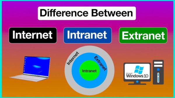 The Internet vs. Intranet vs. Extranet: Understanding the Differences ...